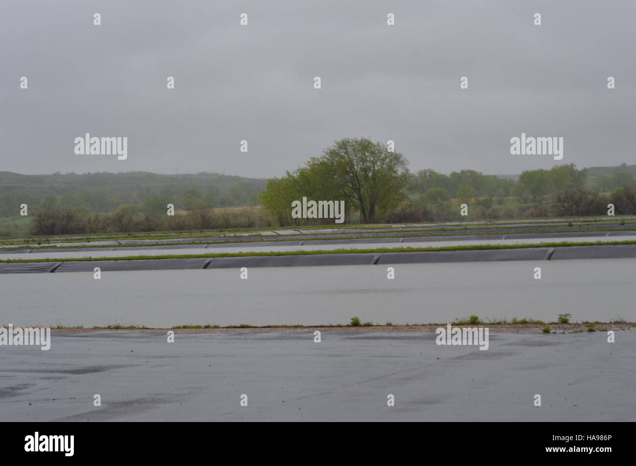 This image captures hatching ponds within a National Park, an important ...