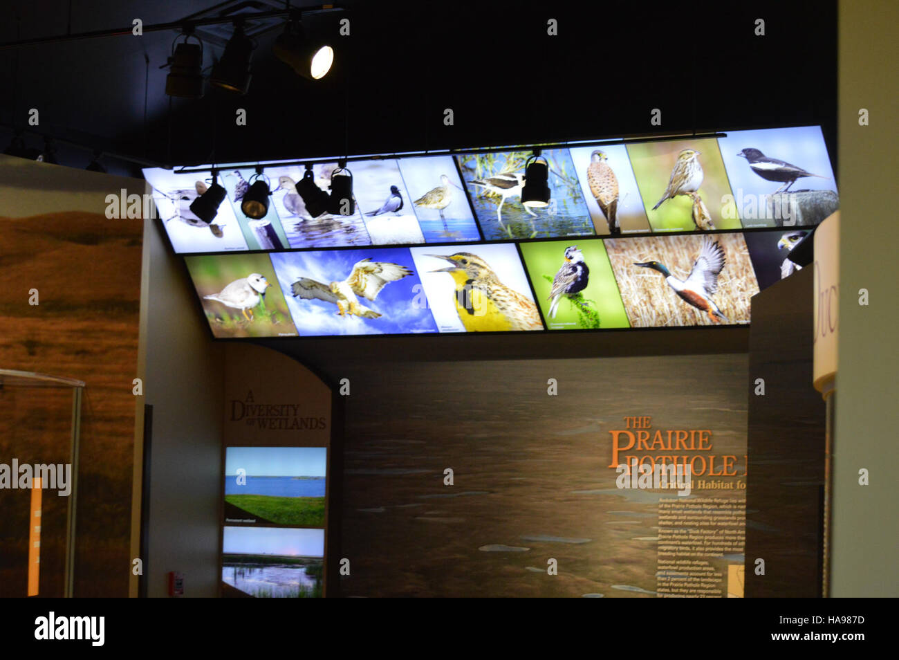 This exhibit at the National Park Visitor Center showcases various ...