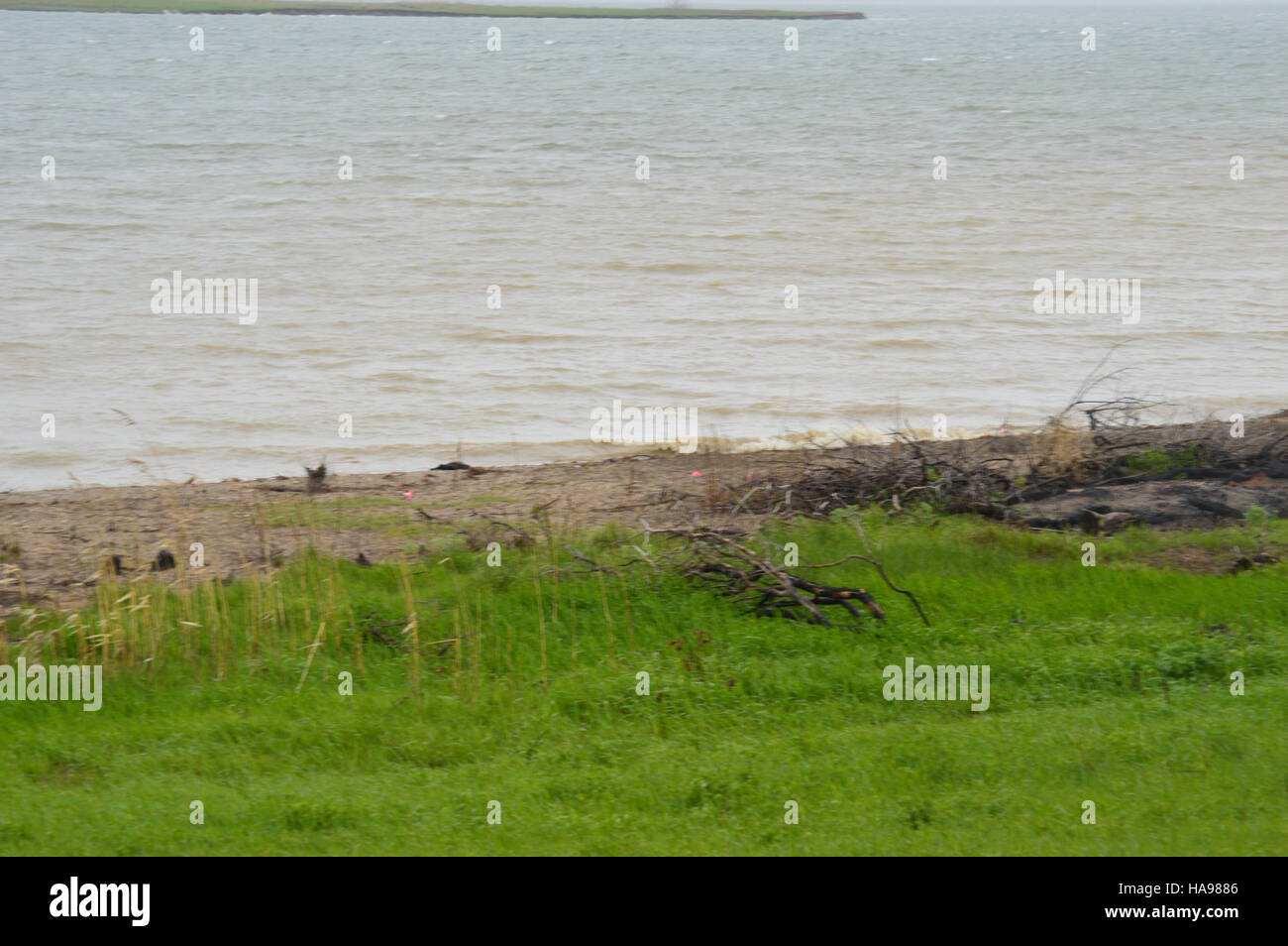 This image depicts the serene shore of Audubon Lake, focusing on the ...