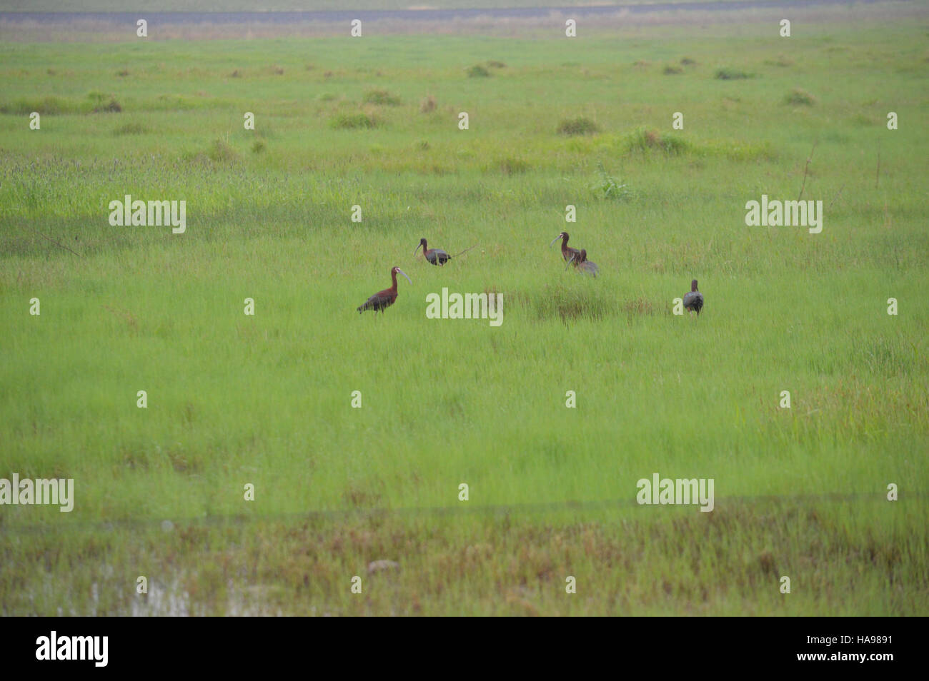 The Lost Lake National Wildlife Refuge provides a habitat for various ...