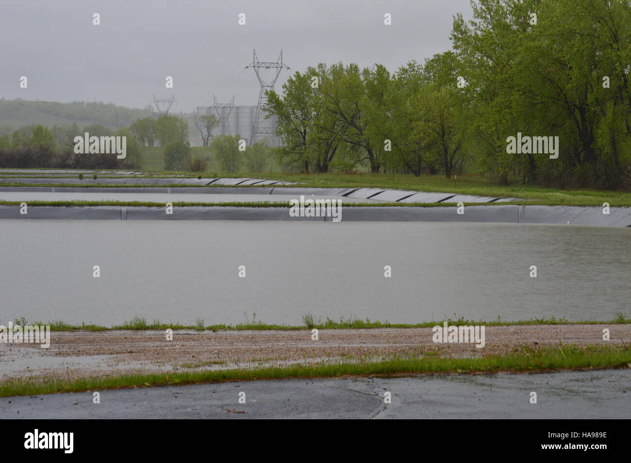 Hatching ponds are used in wildlife conservation efforts to raise young ...