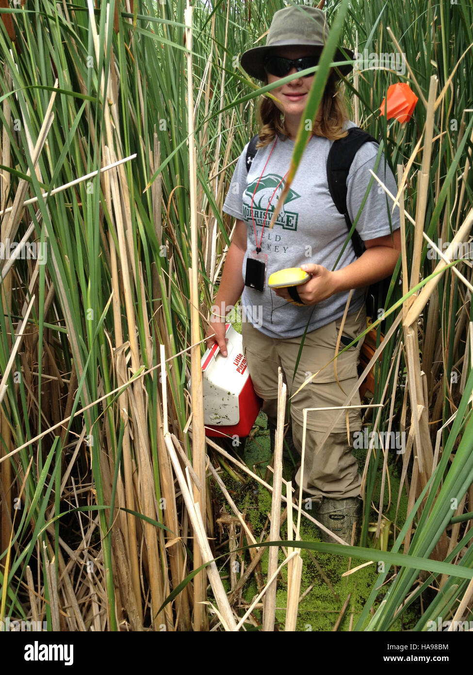 An SCA (Student Conservation Association) intern is pictured during ...