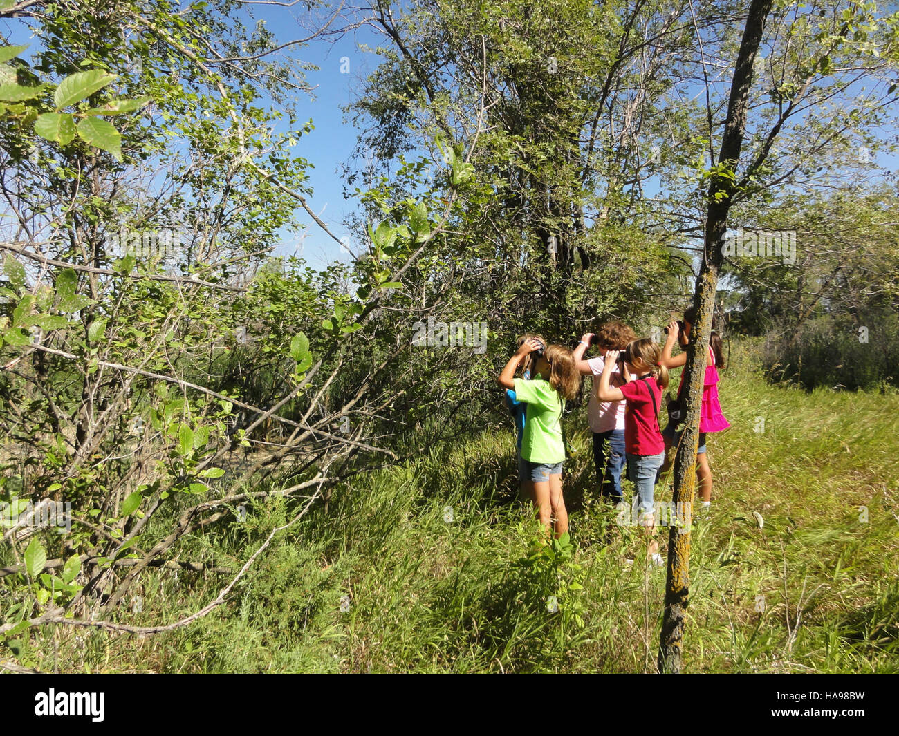 Girl scout program hi-res stock photography and images - Alamy