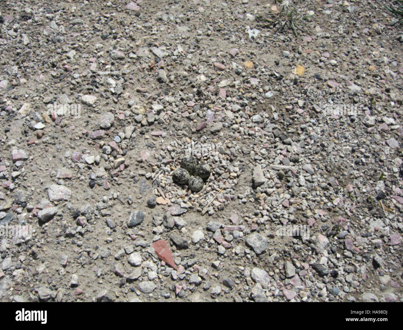 The WPA Wildlife area within a national park highlights wildlife ...