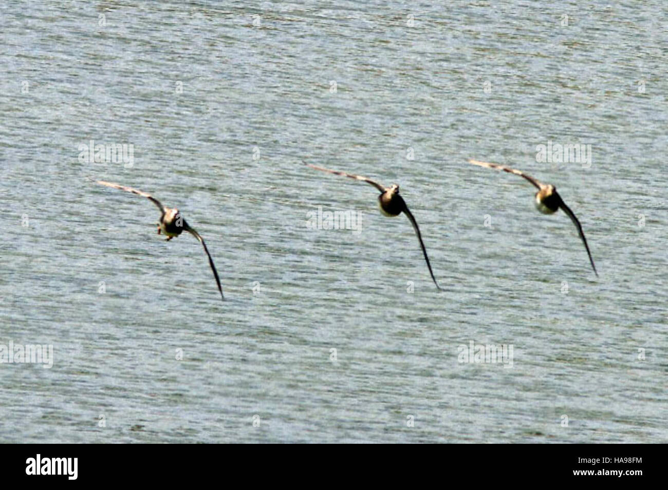 A wildlife conservation initiative by the U.S. Fish and Wildlife ...
