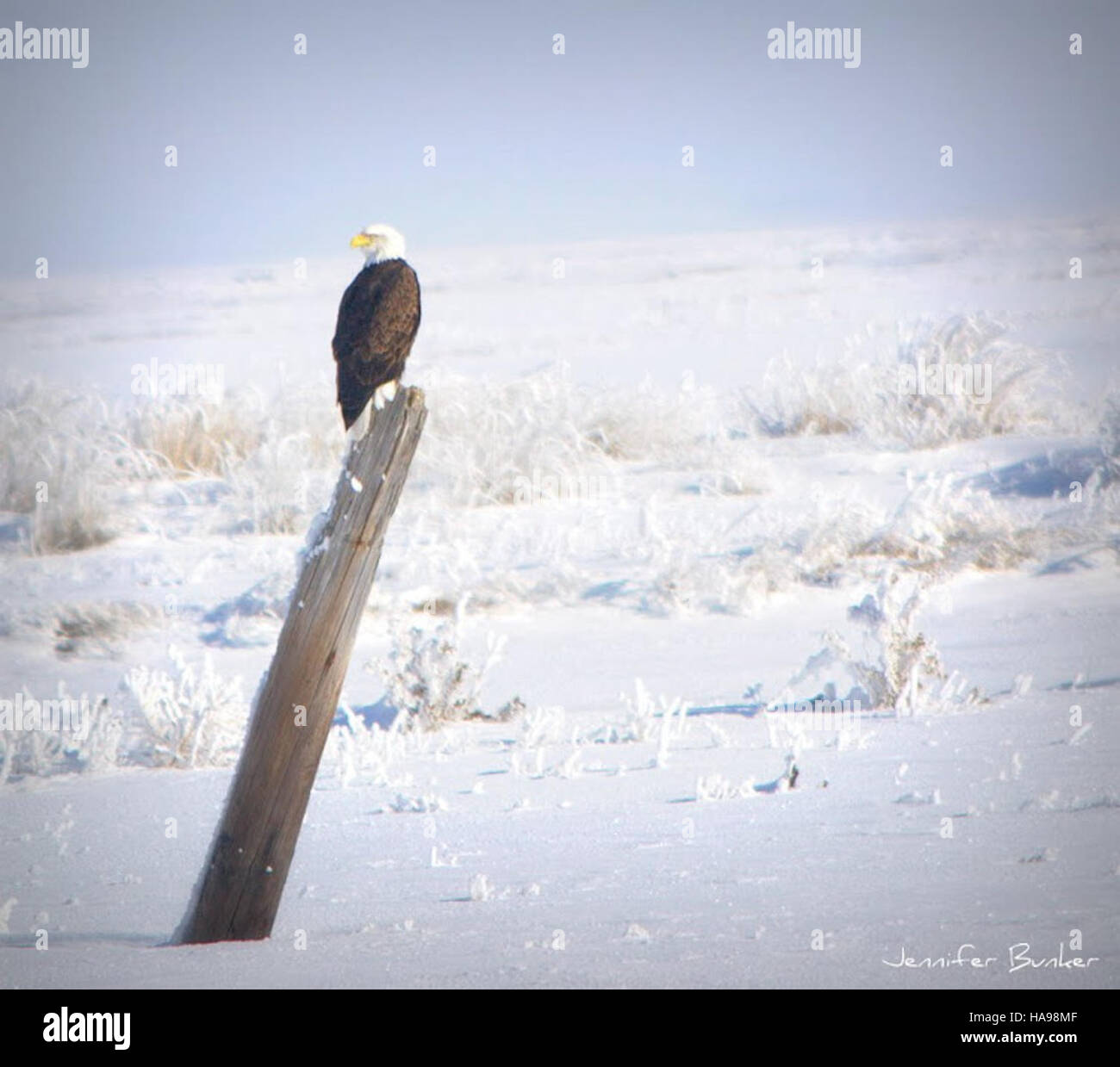 Resting Point in a national park serves as a designated stop for ...