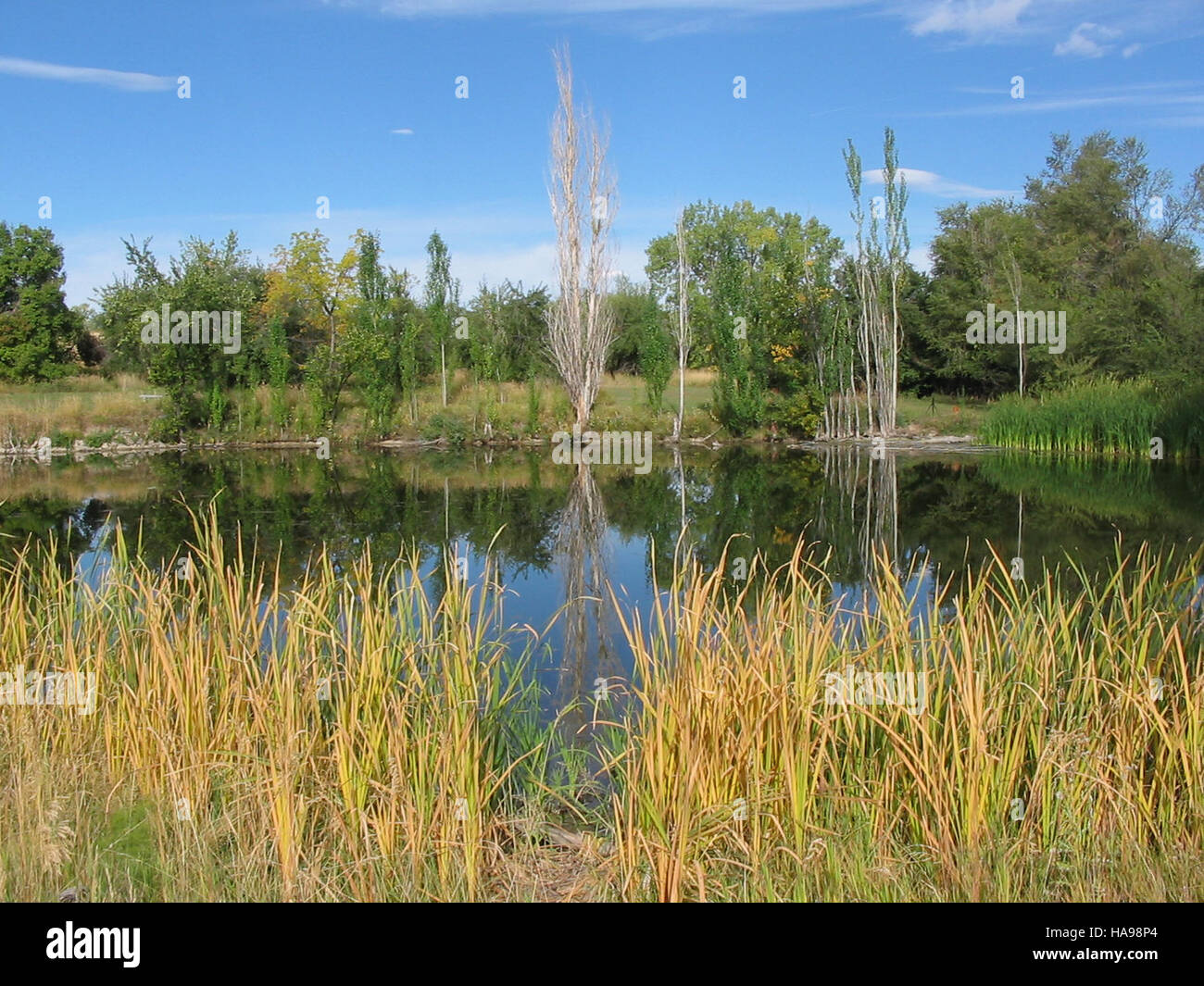Following a flood, Two Ponds National Wildlife Refuge undertakes ...