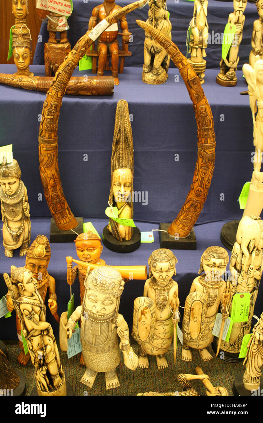 A carved ivory piece featured as the 'Photo of the Week' by the U.S ...