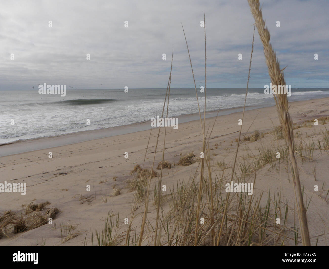 Amagansett beach hi-res stock photography and images - Alamy