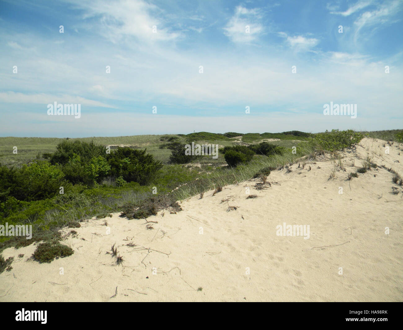 The Double Dune area in a northeastern U.S. National Park features unique sand dunes and diverse ...