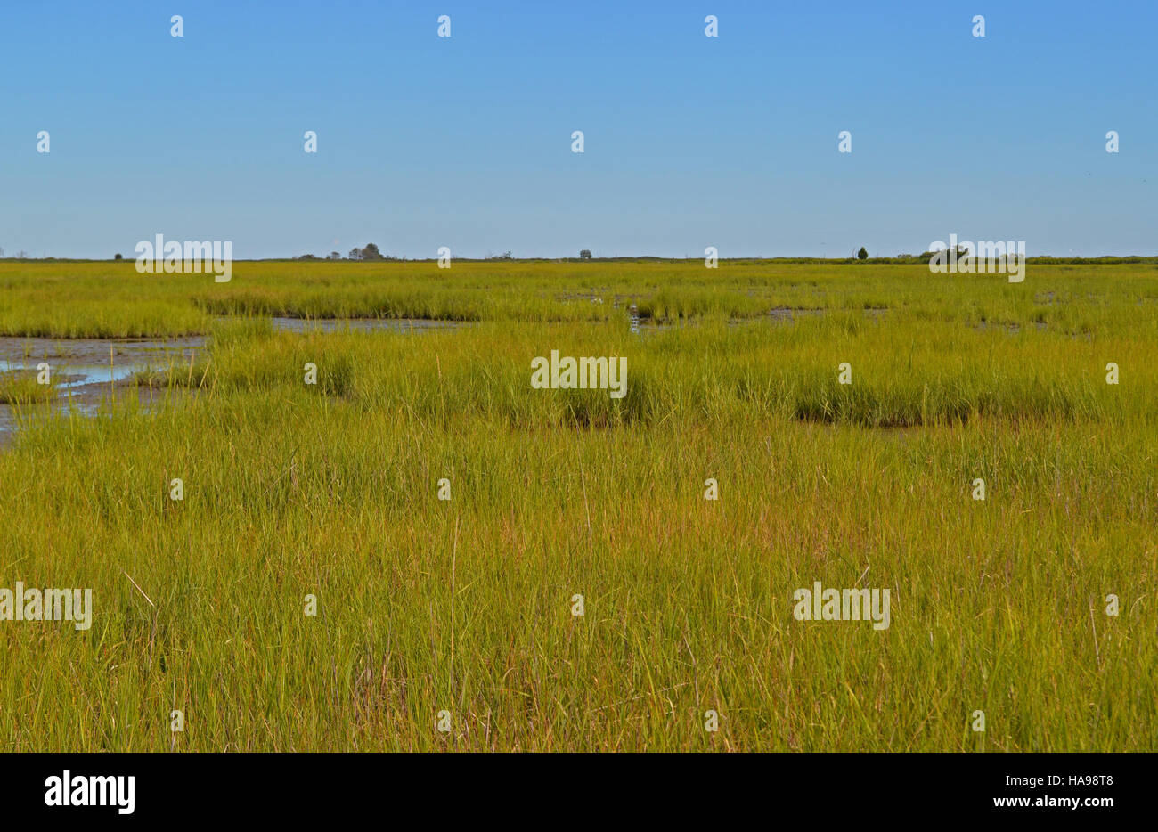 Back barrier hi-res stock photography and images - Alamy