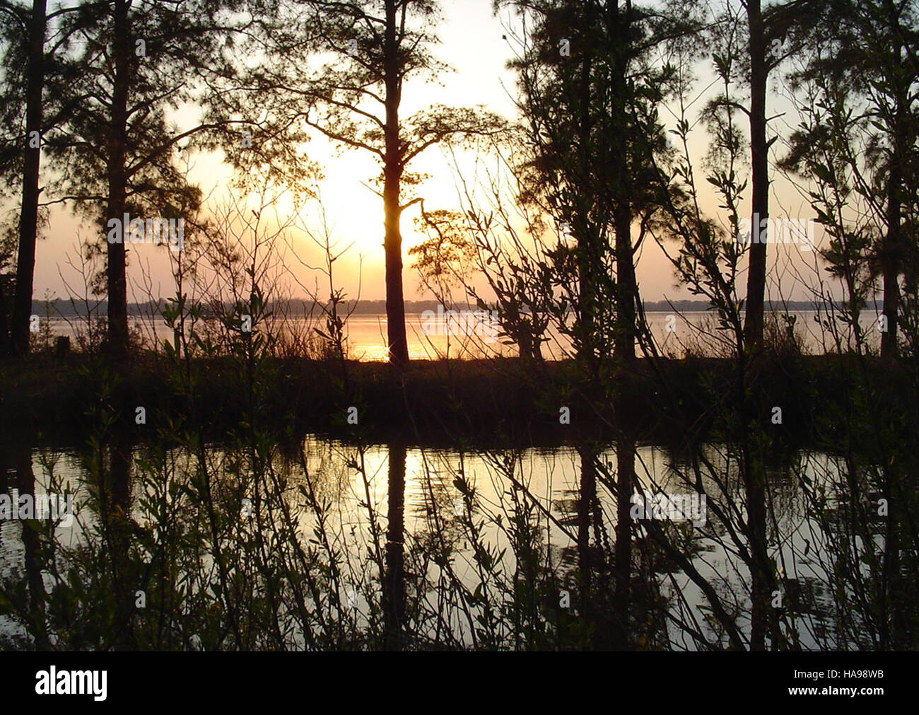 This stunning sunset in a National Park captures the beauty of nature ...