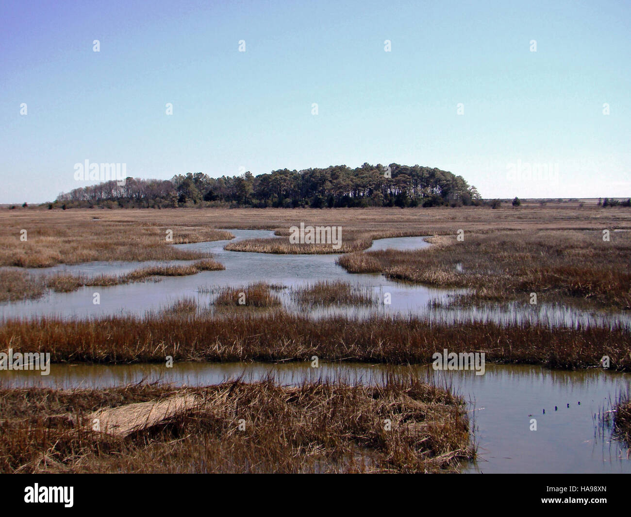 Wetlands within National Parks managed by the U.S. Fish and Wildlife ...