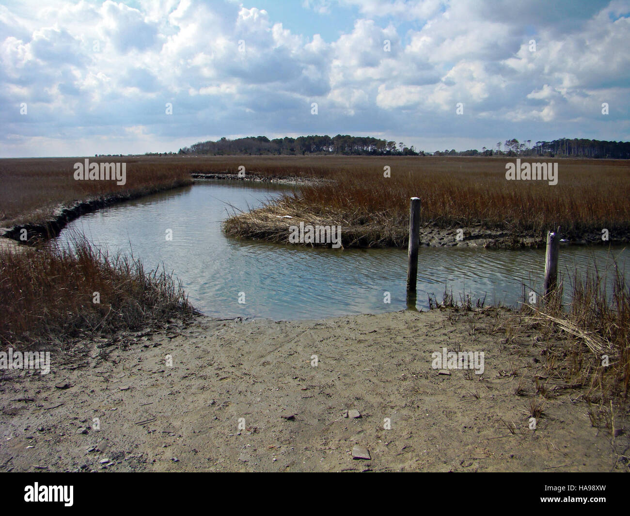 The salt marshes in this national park provide critical habitat for a ...