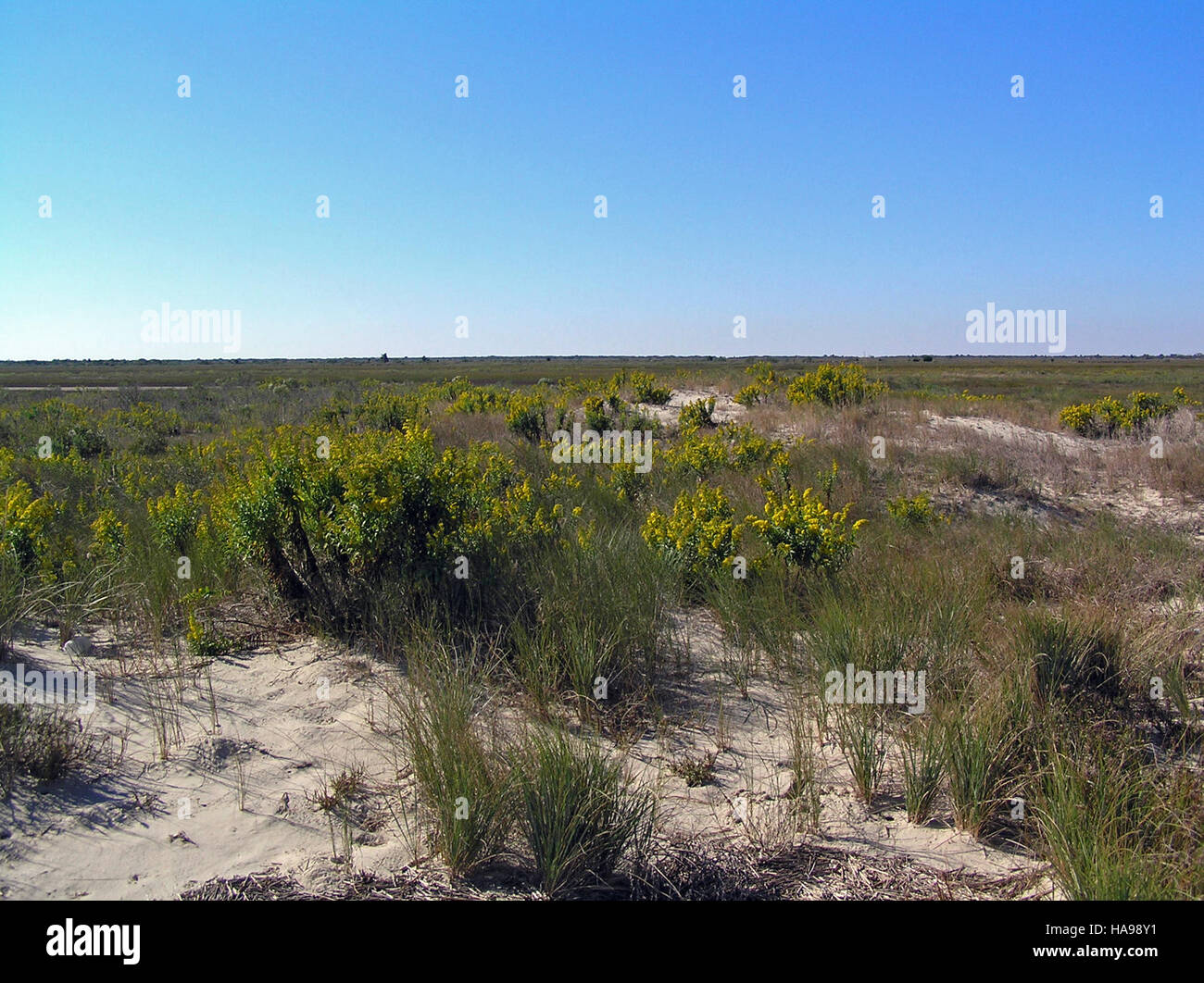Dunes National Park is located in the northeastern U.S., offering a ...