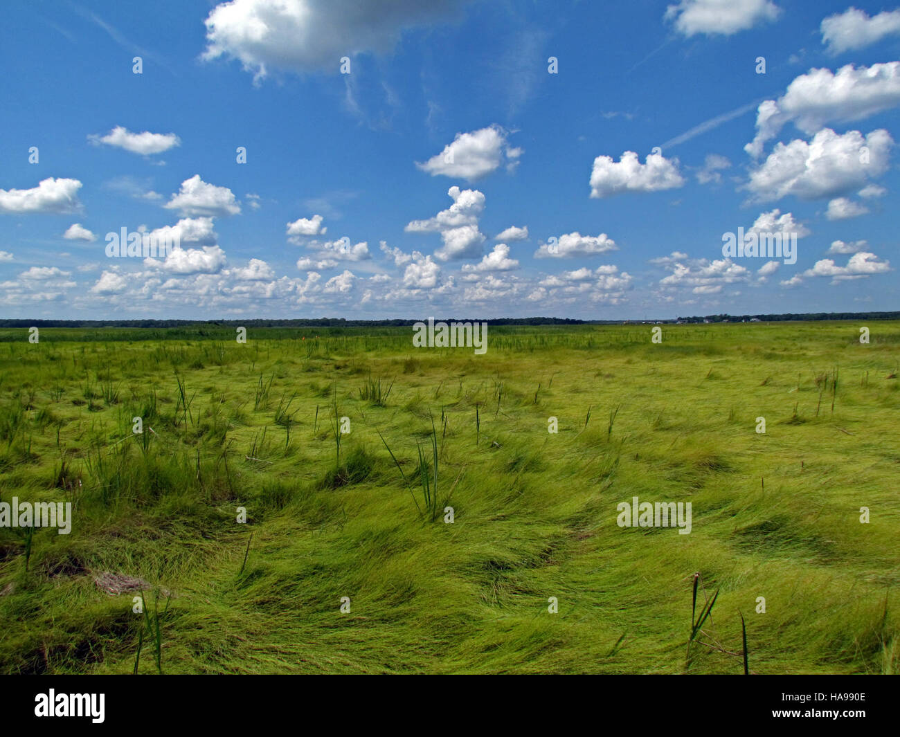 Mullica river hi-res stock photography and images - Alamy