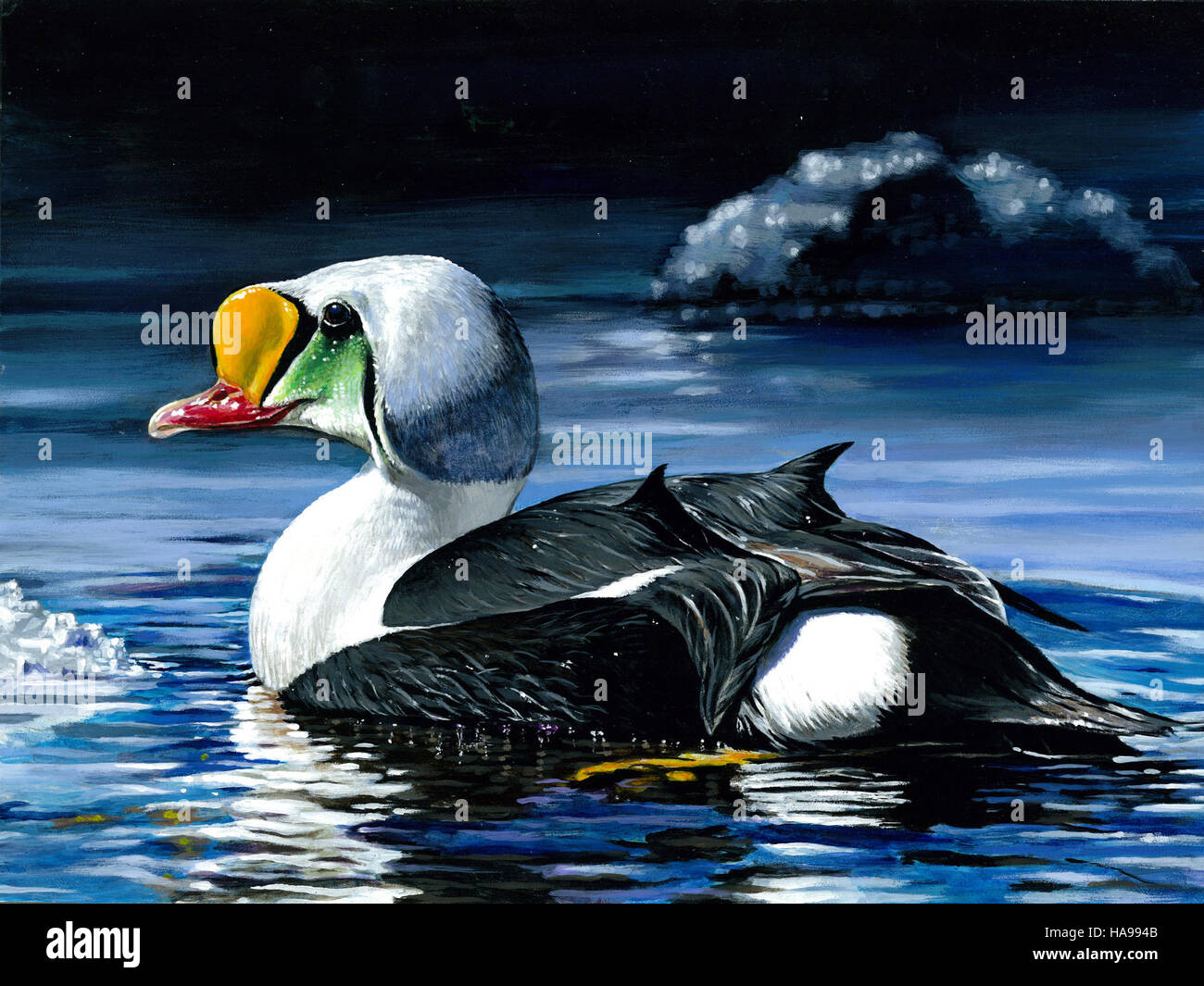 The Junior Duck Stamp winner from New Jersey is featured as the 'Photo ...
