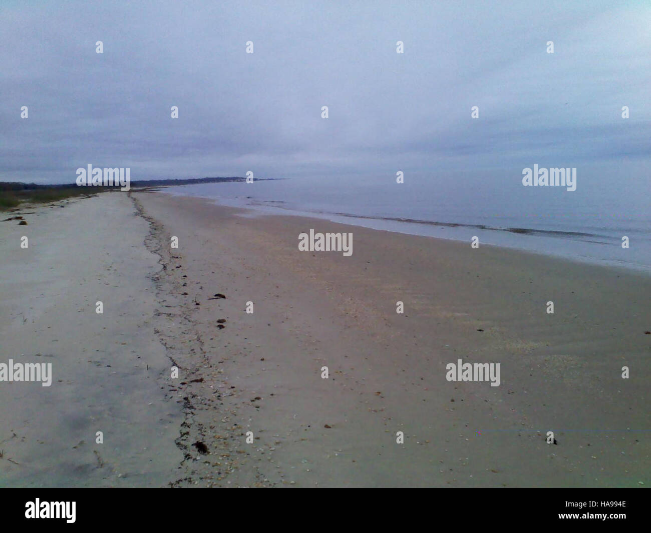 The Reeds Beach Restoration project focuses on the rehabilitation of ...