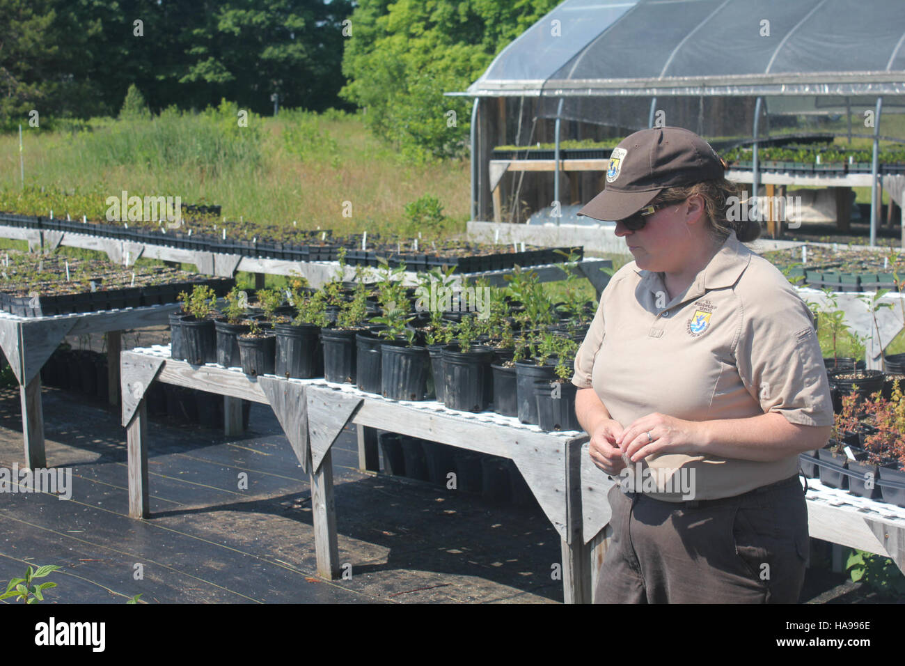 The Living Shoreline Nursery in the Northeast focuses on restoring ...