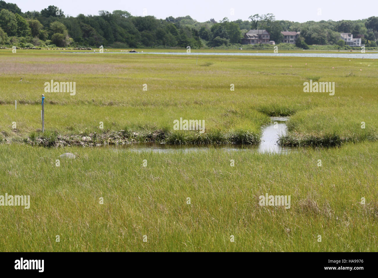 Salt Marsh National Park focuses on the preservation and restoration of ...