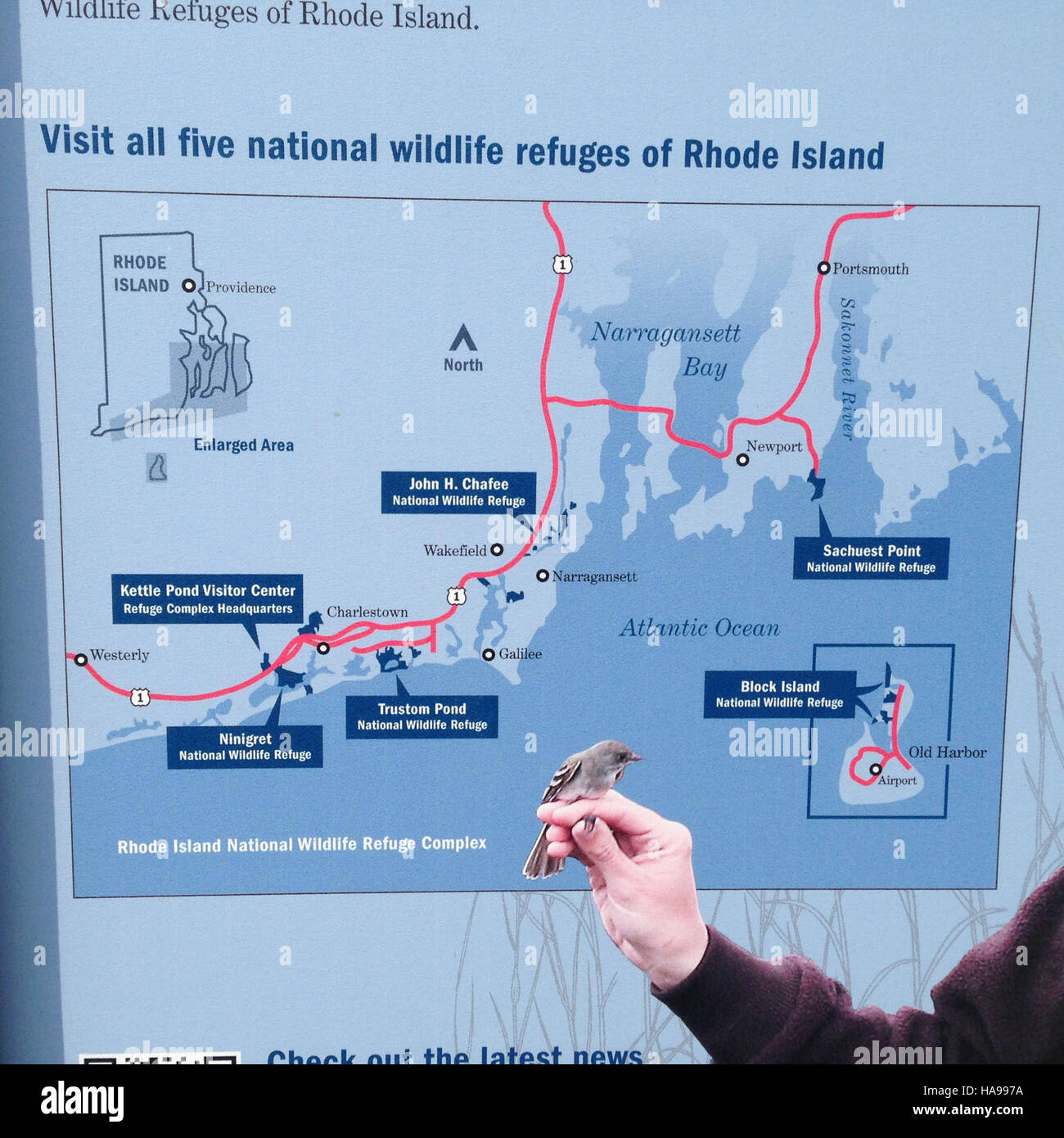 The Rhode Island Complex, a designated wildlife refuge, supports a ...
