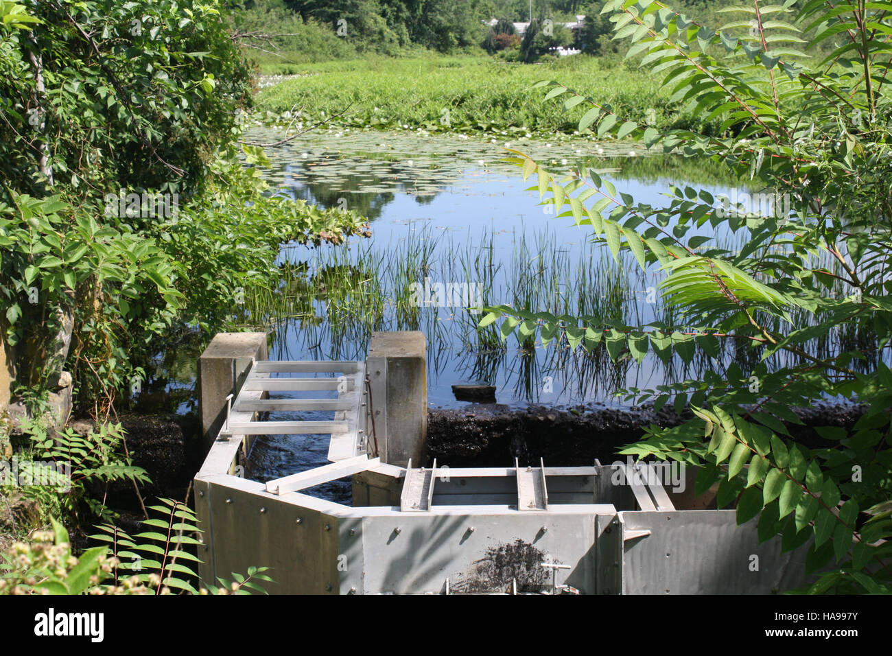 Pond Lily Fishway, located in a national park, is an important ...