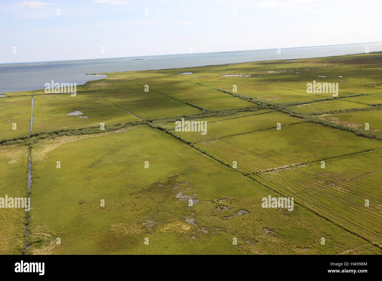 The expansion of marshland areas at Wertheim National Wildlife Refuge ...