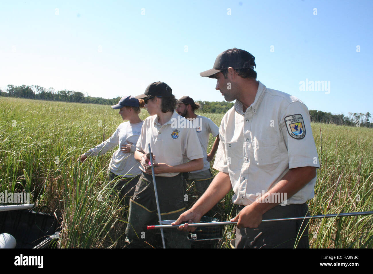The installation of Surface Elevation Table (SET) rods in Cape May, NJ ...