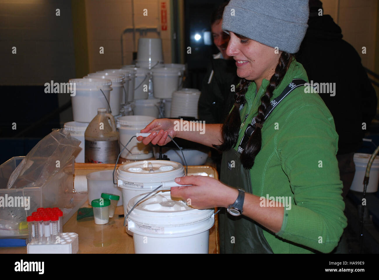 Atlantic salmon spawn at the Craig Brook National Fish Hatchery, where ...