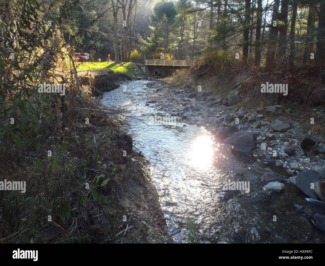 The Stroud Dam post-removal project focuses on restoring natural river ...