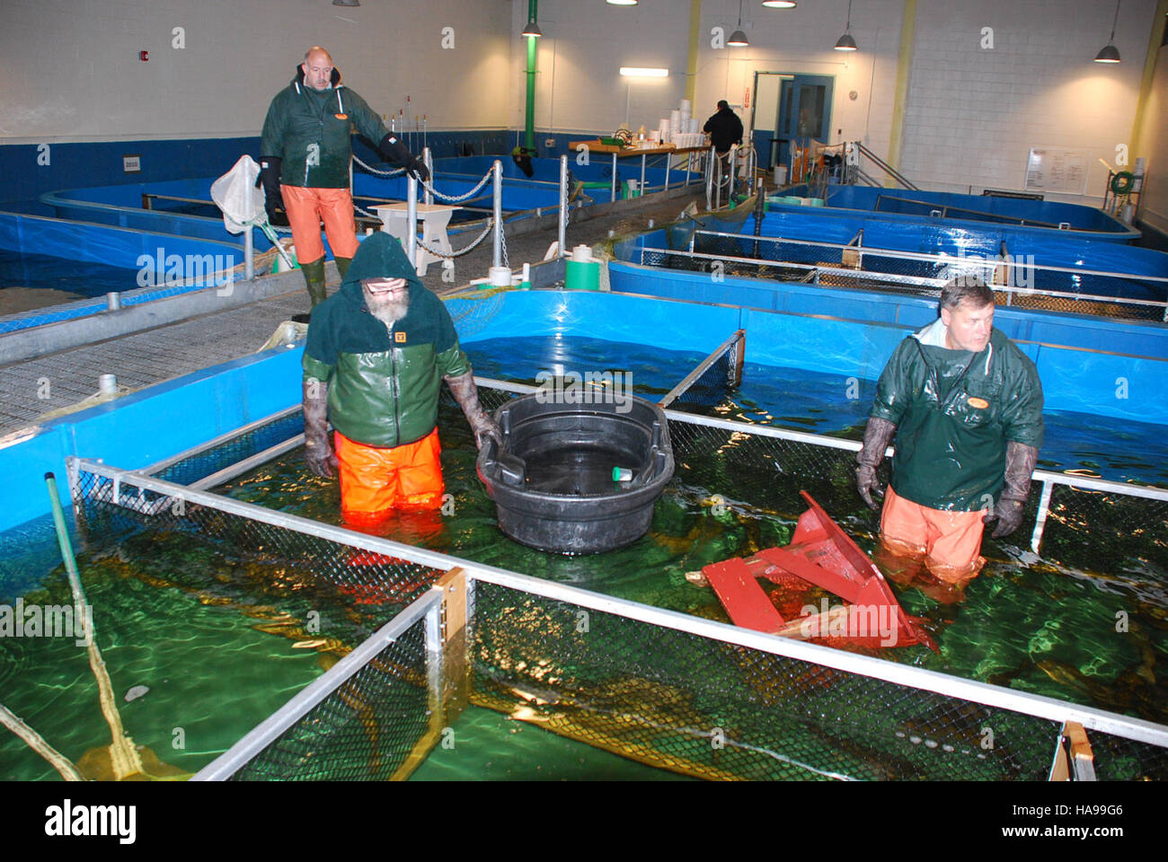 A high-angle view of a spawning area within a national park highlights ...