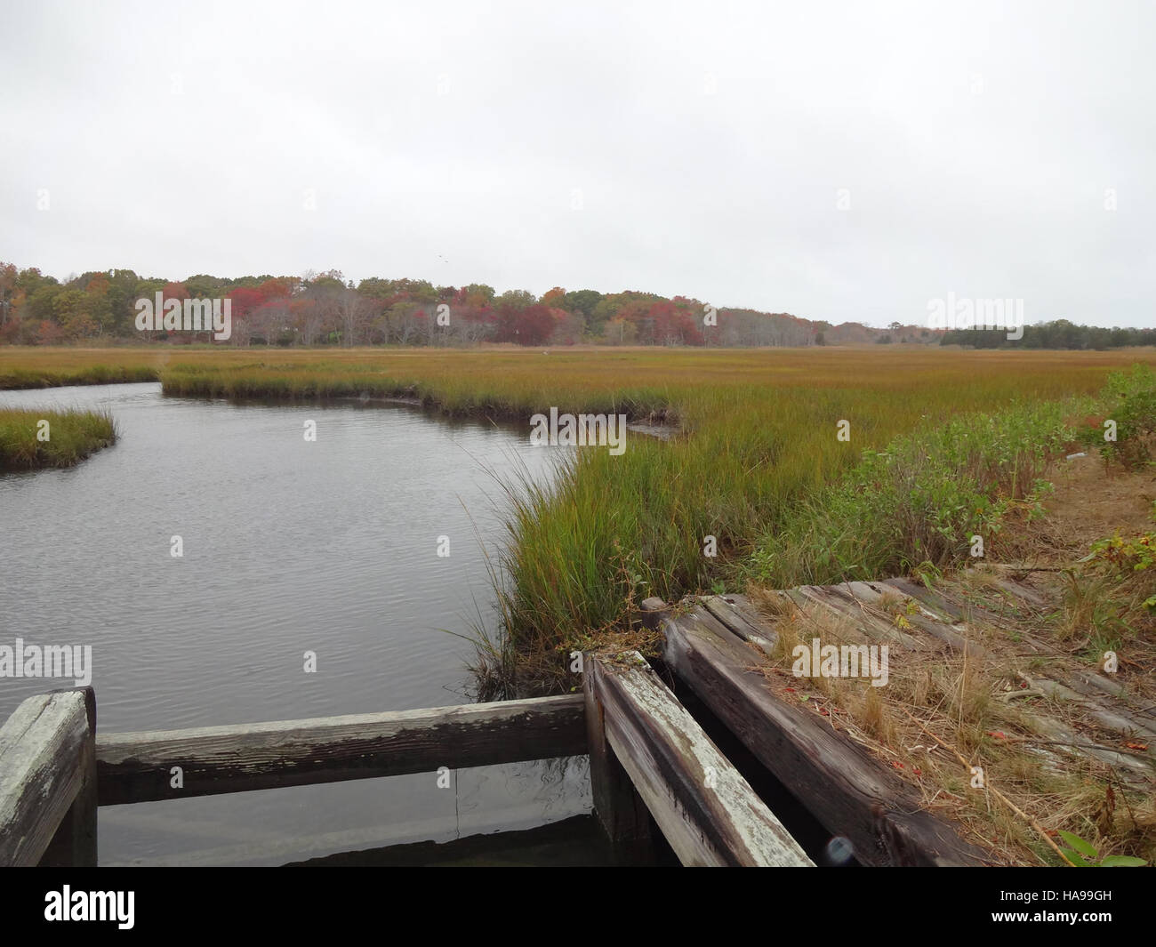 This image depicts an old box culvert being replaced near a marsh in a ...