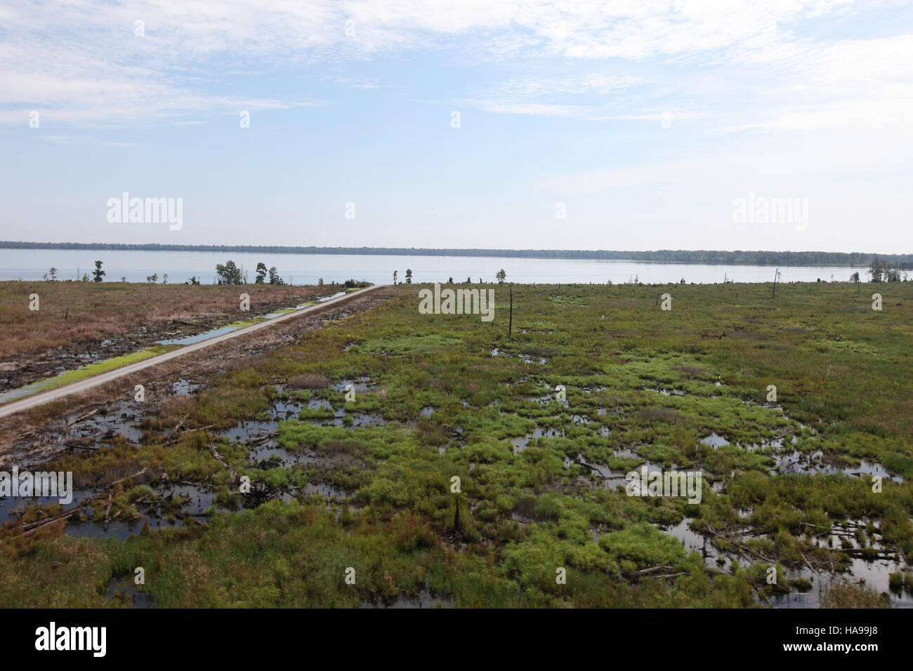 An aerial tour of the Great Dismal Swamp showcases the impact of ...