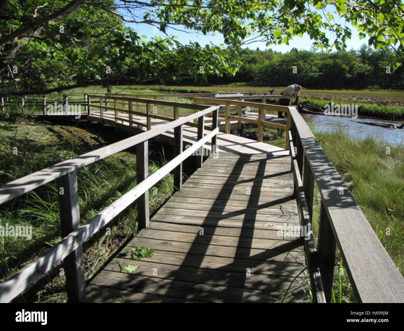 The newly restored boardwalk at a national park provides visitors with ...