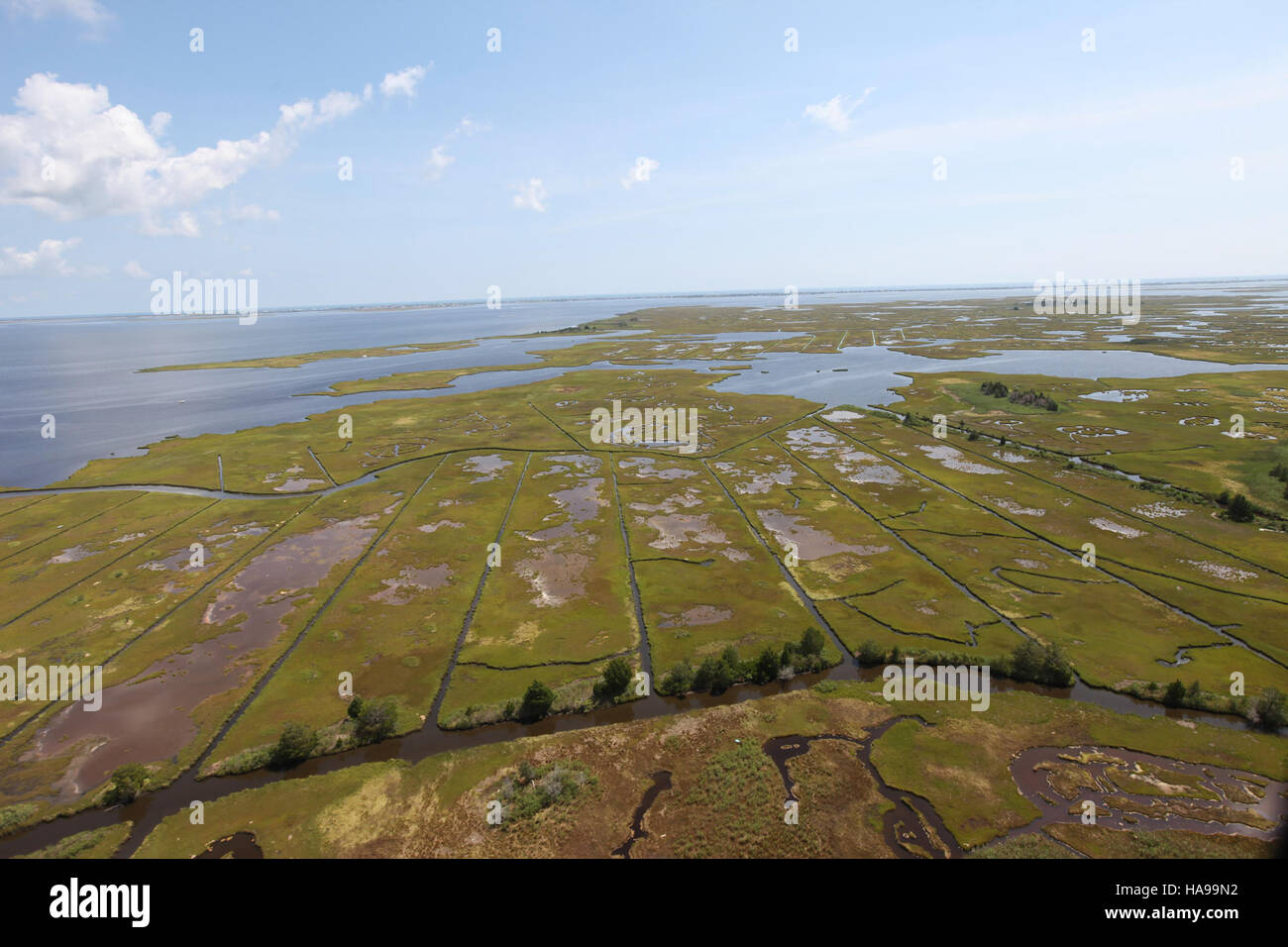A flyover of Forsythe National Wildlife Refuge showcases the park’s ...