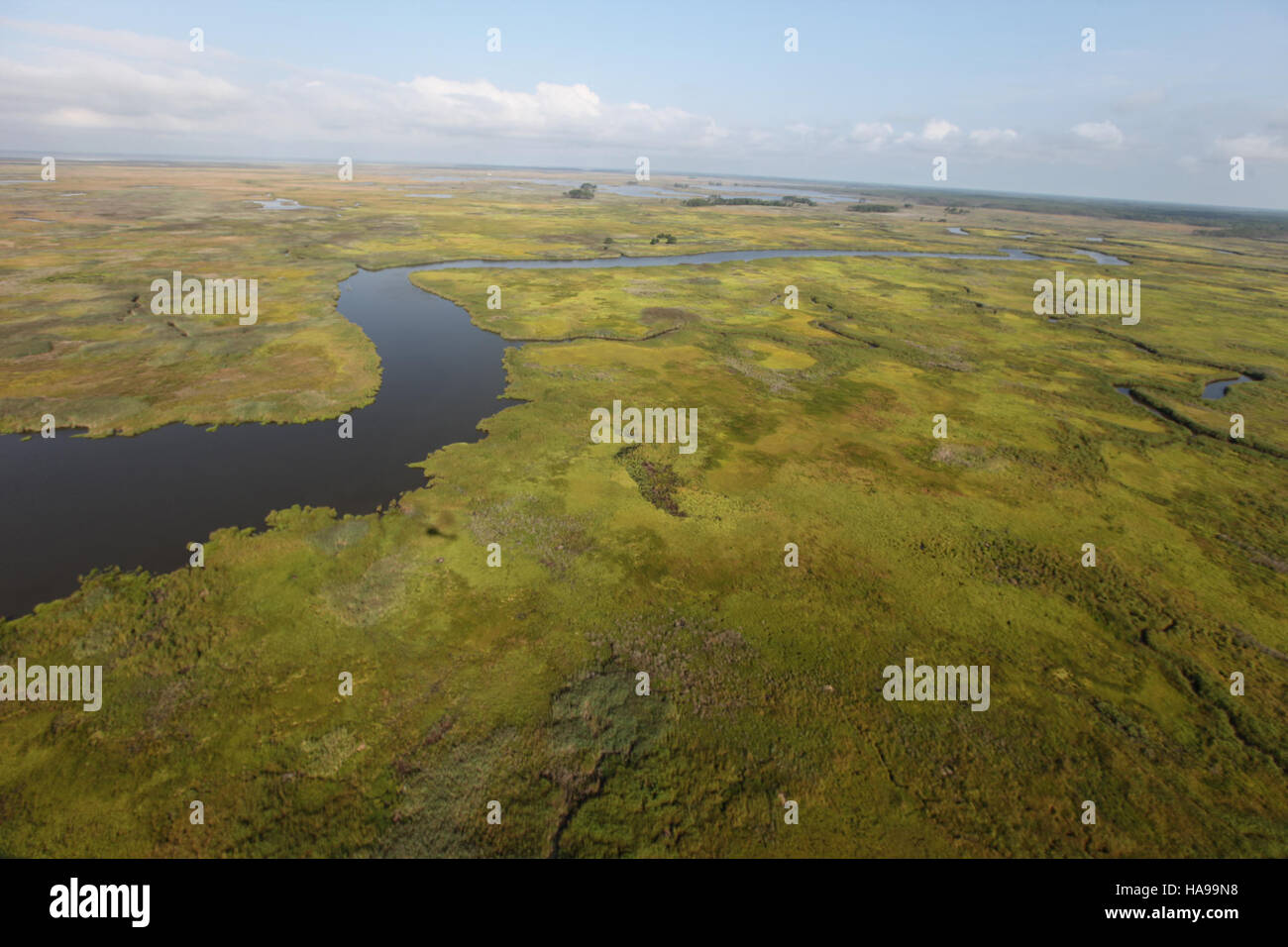 An aerial tour of the Nanticoke River in Maryland, taken after ...