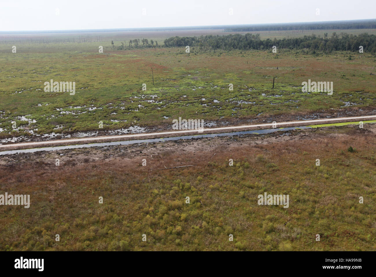An aerial tour of the Great Dismal Swamp in Virginia, documenting the ...