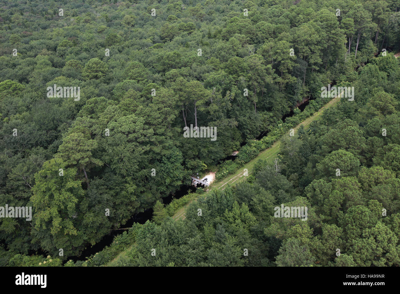 The Great Dismal Swamp in Virginia, as seen during an aerial tour post ...