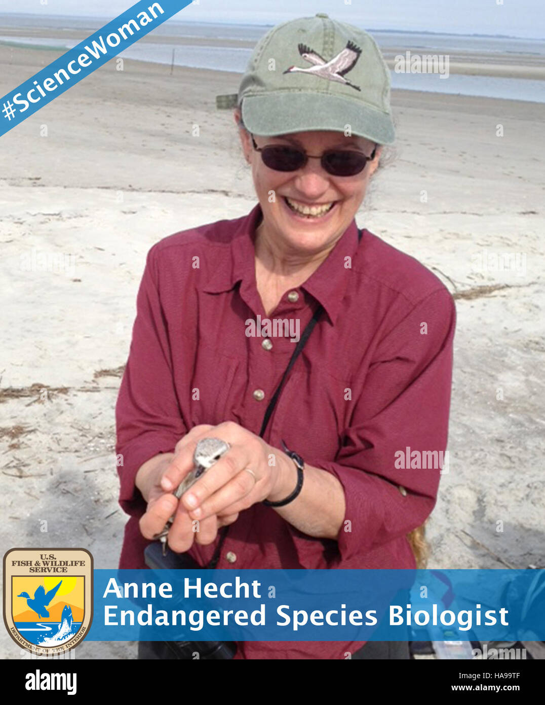 Anne Hecht is a prominent scientist known for her contributions to ...