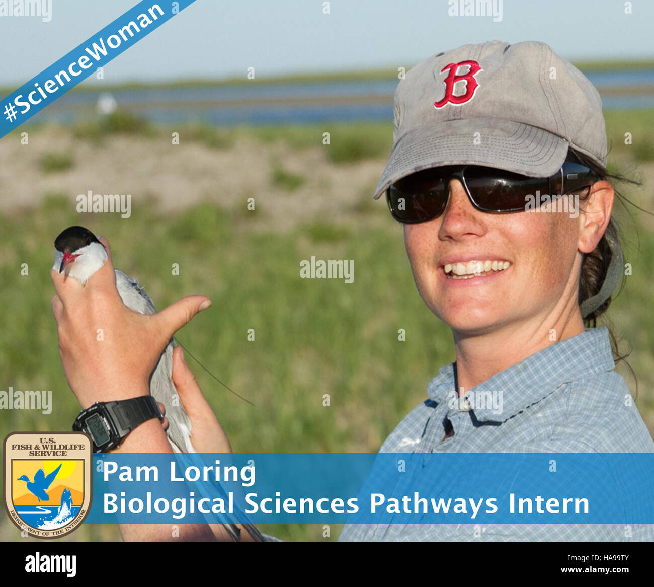 usfwsnortheast 16741482416 Pam Loring, #ScienceWoman Stock Photo - Alamy