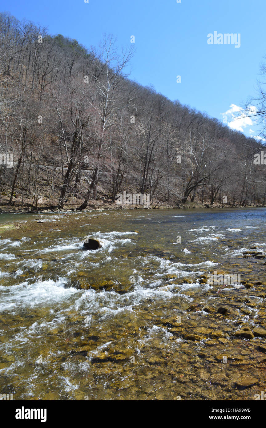 This image features Dry Fork stream, an important waterway supporting ...