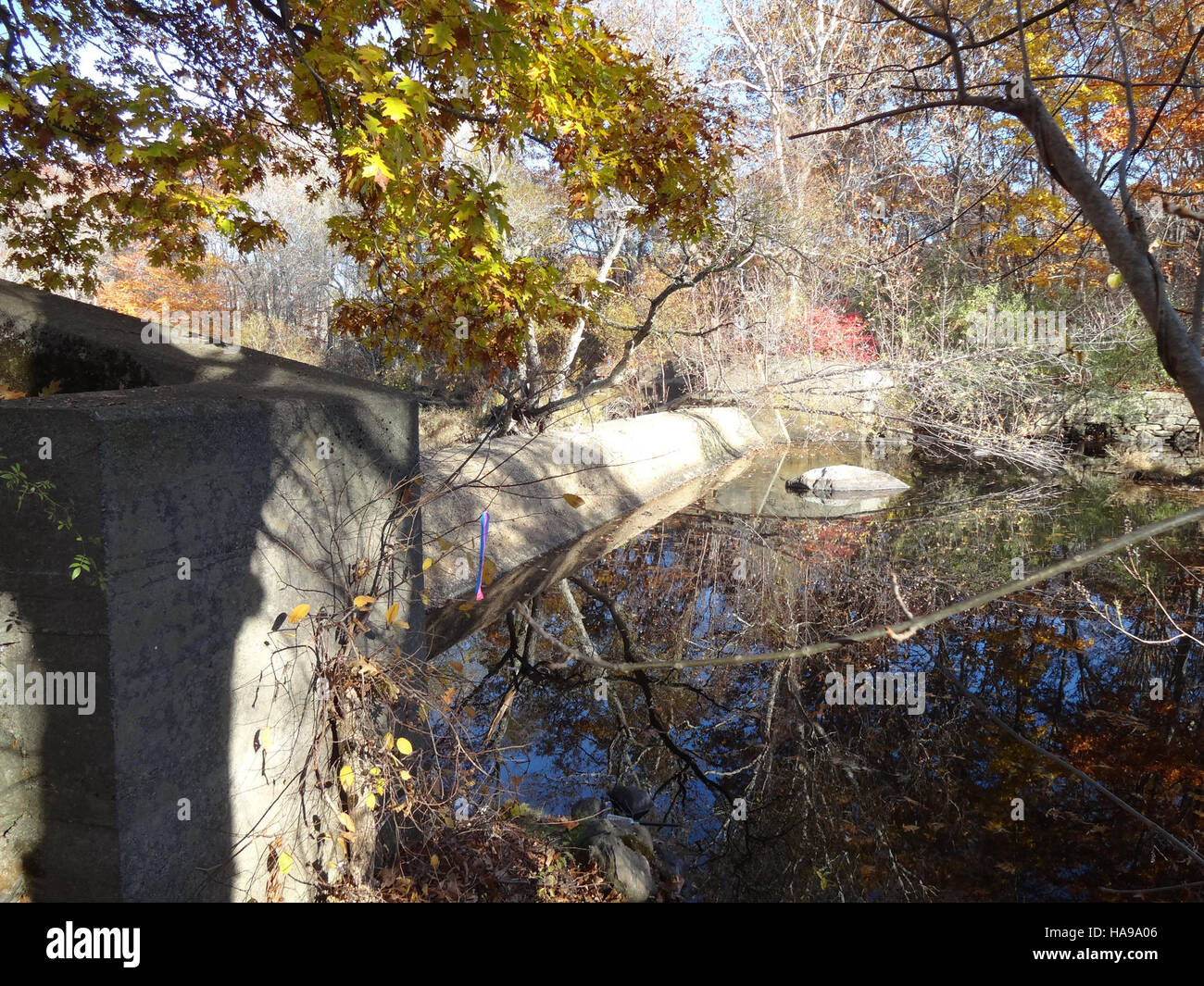 The image shows the White Rock Dam before its removal, with impounded ...
