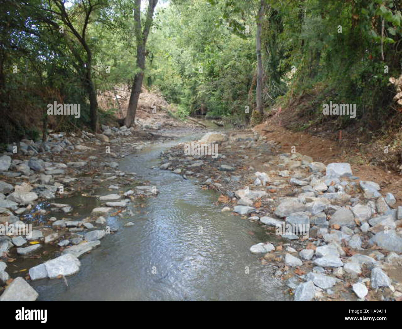 The image captures a downstream view of the rock ramp at Centreville ...