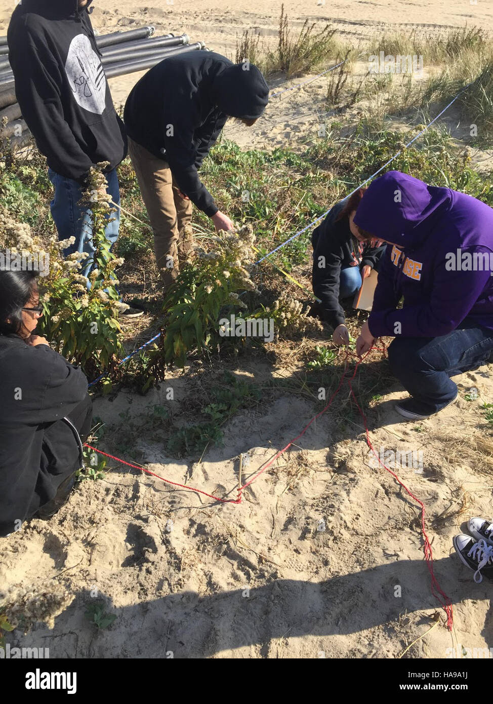 Quadrant sampling at Wreck Pond in New Jersey is conducted to monitor ...