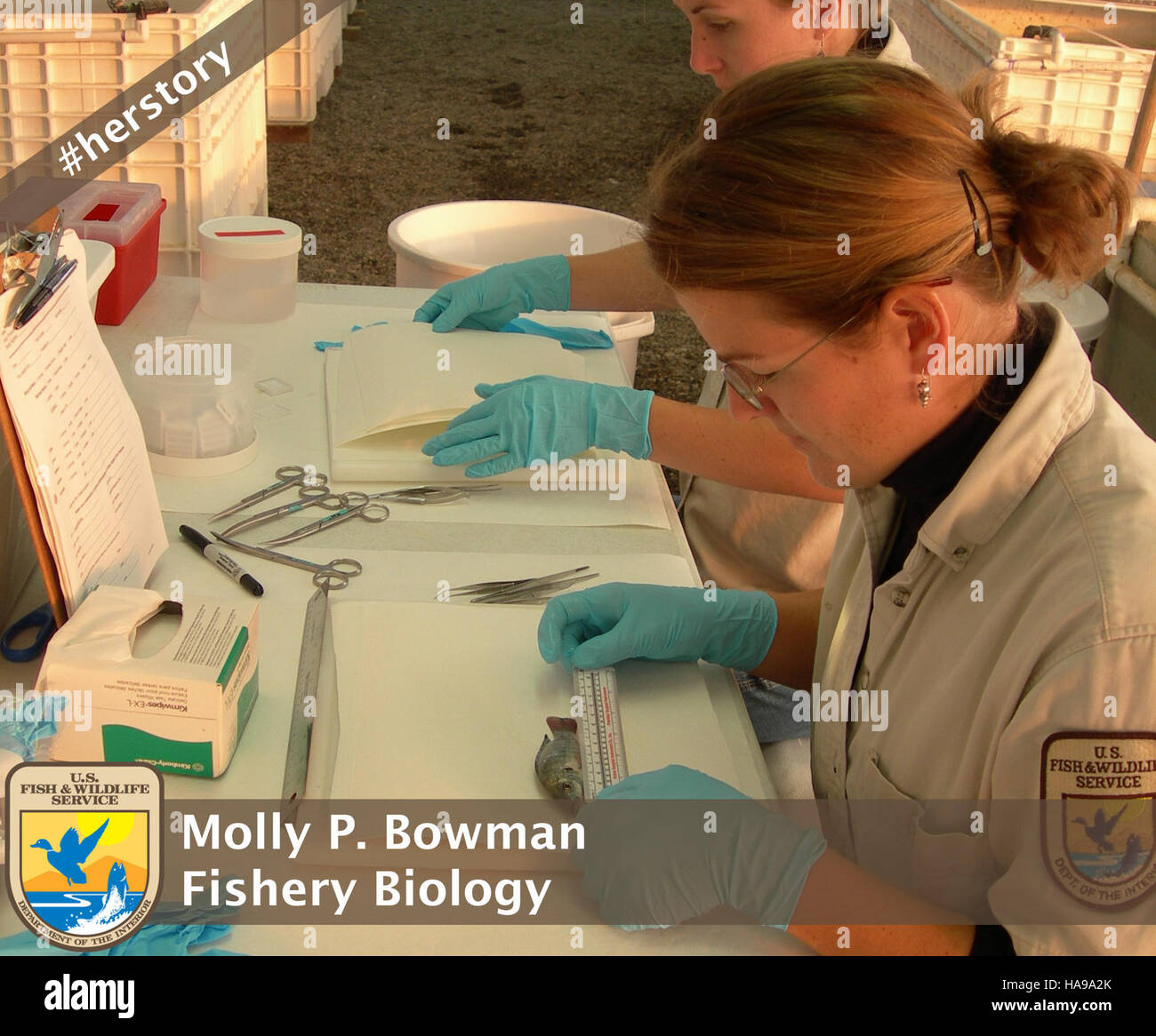 Molly figures hi-res stock photography and images - Alamy
