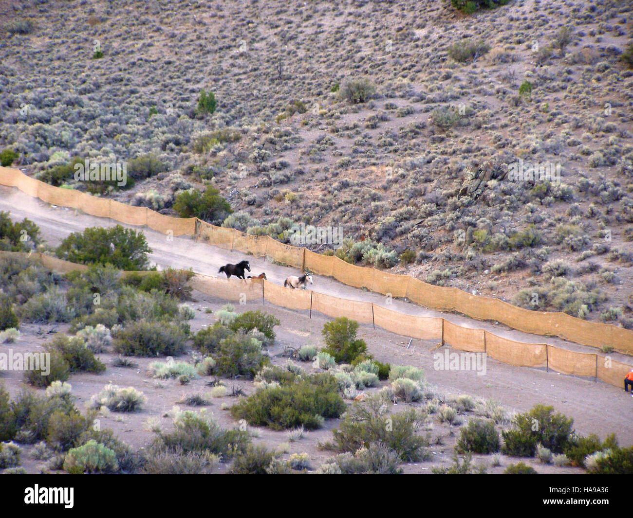 The Seaman Herd Area, managed by the Bureau of Land Management in ...