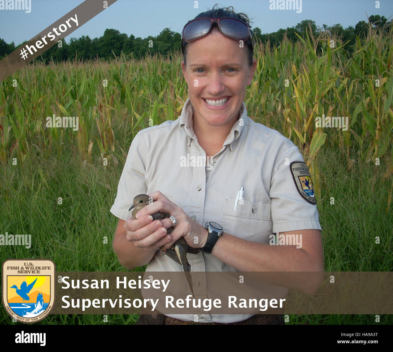 usfwsnortheast 25862731426 Susan Heisey, #herstory Stock Photo - Alamy