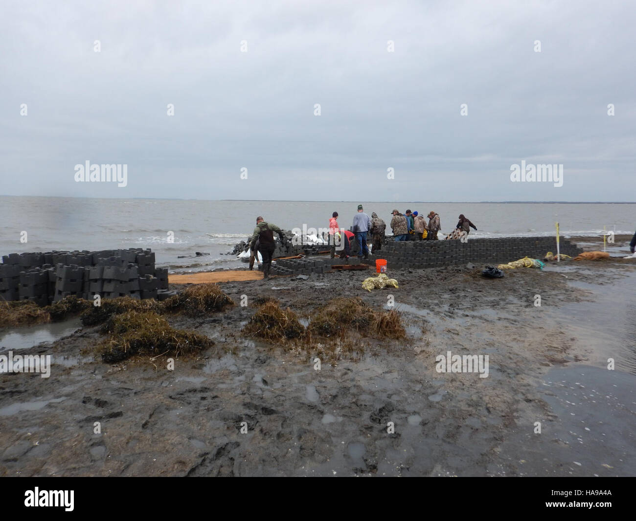 usfwsnortheast 26188321153 Building oyster reef breakwater structures ...