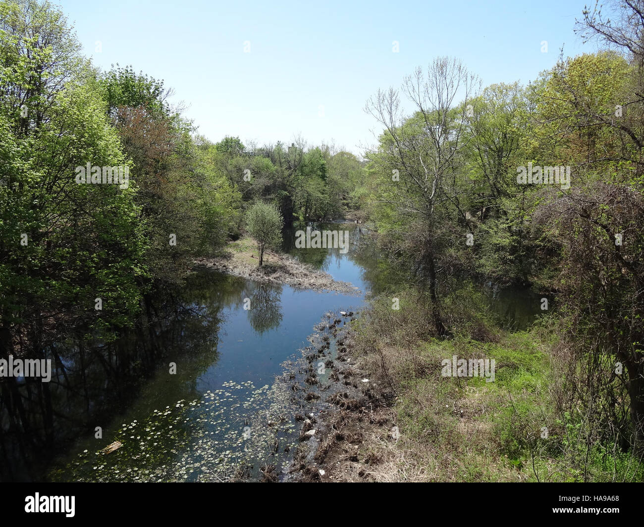 This area upstream from the Flock Process Dam, located in a U.S ...