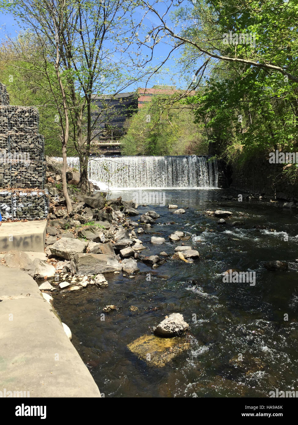 This image shows the Flock Process Dam and its wire mesh wall, an ...